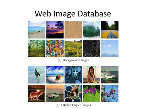 Ppt Salient Object Detection For Searched Web Images Via Global