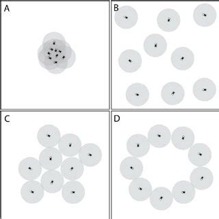 Possible Spatial Positions Of Juveniles Illustrating An Individuals Download Scientific