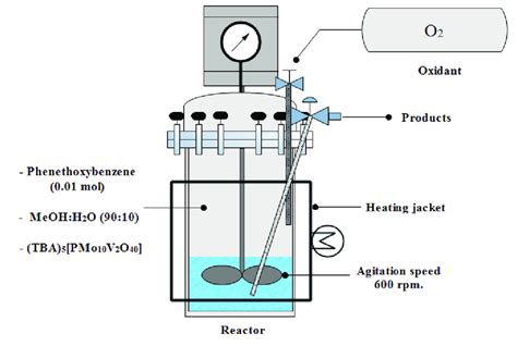 Scheme Of Semi Batch Catalytic Oxidation Reactor Download Scientific Diagram