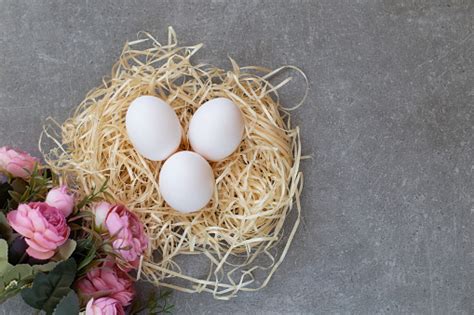 둥지에서 흰색과 분홍색으로 채색 된 부활절 달걀의 평면도 부활절 배경입니다 봄 방학 부활절 배경 초대장 인사말 카드 아트 개념에 대한 스톡 사진 및 기타 이미지 Istock