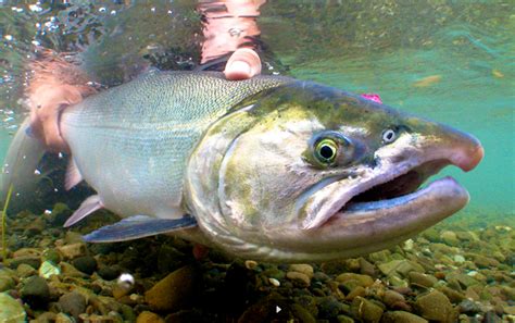 After Sex Couples Never Talk About Running Lines Fly Life Magazine