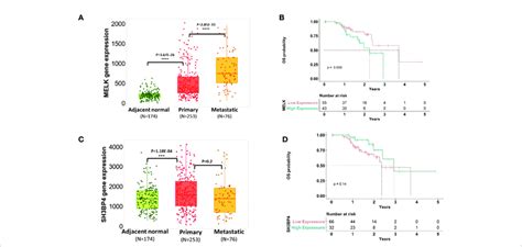 Transcriptomic Profiling Of The Candidate Gene Expressions And Melanoma Download Scientific