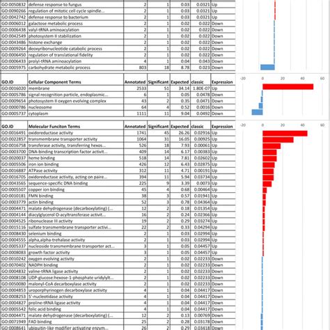 Biological Processes Cellular Component And Molecular Function Gene