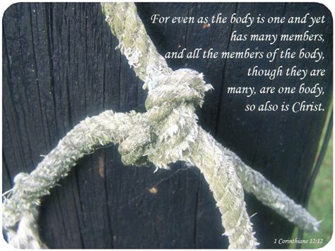 Unity Disunity And Breaking Fellowship A Real Life Tale