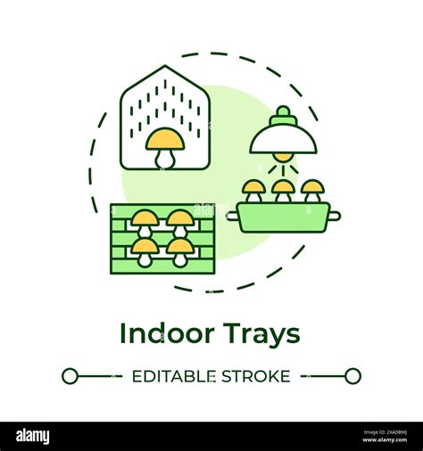 Indoor Trays Multi Color Concept Icon Stock Vector Image And Art Alamy