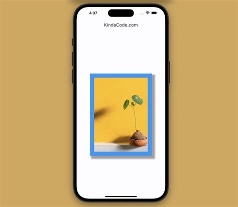 adding a border to an image in flutter 3 examples kindacode