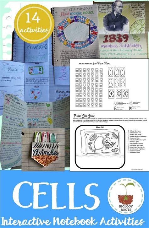 Cells Interactive Notebook Cell Theory Prokaryotic Eukaryotic