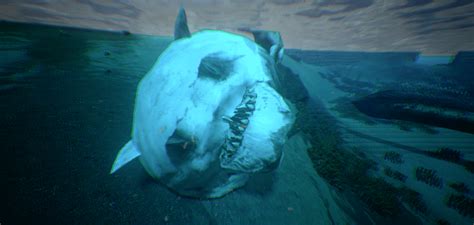 This Used To Be A Megalodon R Ark