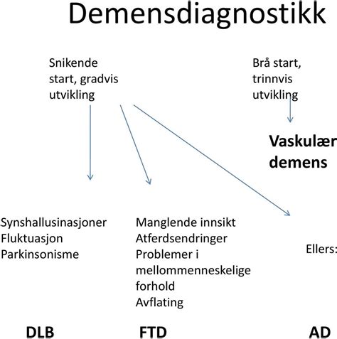 Kartlegging Diagnostisering Og Behandling Av Eldre Personer Med Psykisk