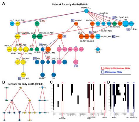 Ijms Free Full Text Post Radiotherapy Exosomal Non Coding Rna And