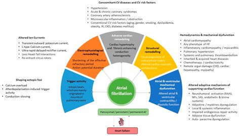 Biomedicines Free Full Text Biomarkers Of Atrial Fibrillation Recurrence In Patients With