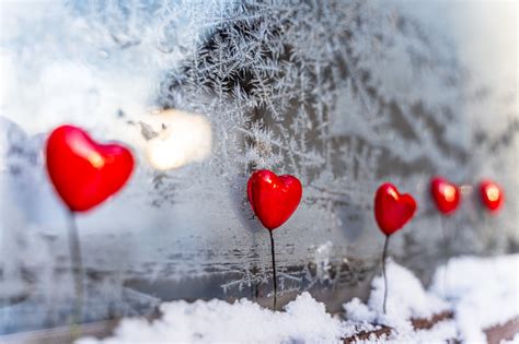 흰텍스트 사랑과 발렌타인 데이에 행복의 개념에 대 한 공간을 가진 추상 배경으로 창의 전경색에 흐려 읽기 마음 훈장 감정에 대한 스톡 사진 및 기타 이미지 Istock