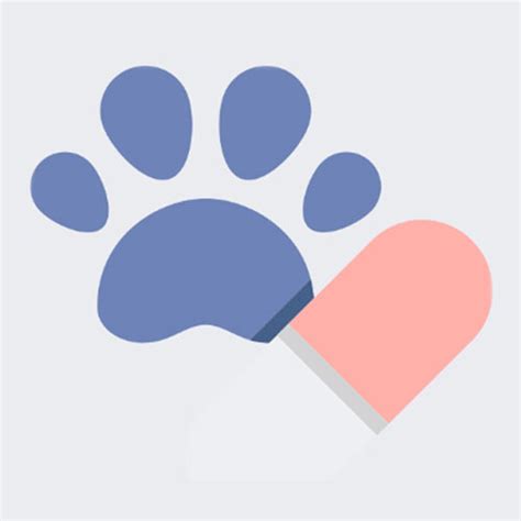 Vitamin B1 Vitamin B6 Injectable Solution Rudrakash Lifescience