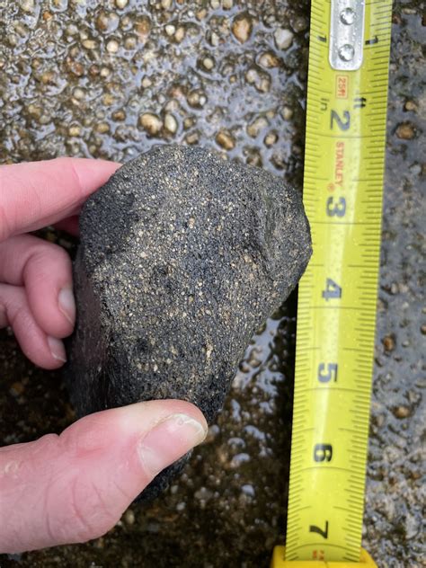 Is This Humerus Or Is It A Tibia Fossil Id The Fossil Forum