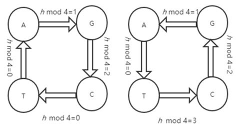 Entropy Free Full Text A Dynamic Dna Color Image Encryption Method