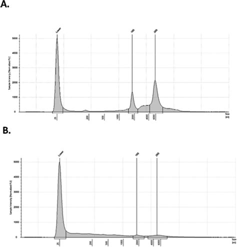 Fig 1 [rna Quality Assessment By Bioanalyzer ] Immunogenetics Ncbi Bookshelf