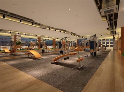 Gym Setup 16 Archive 3d