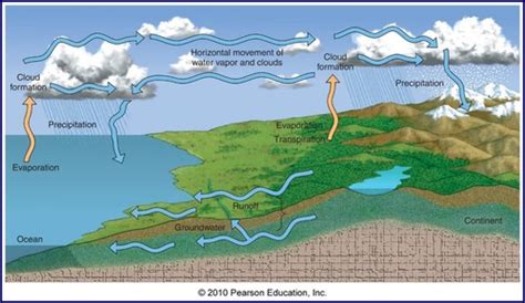 Ch 5 Atmospheric Moisture Flashcards Quizlet