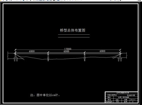 E887 民生大桥下部结构设计 土木工程 龙图网