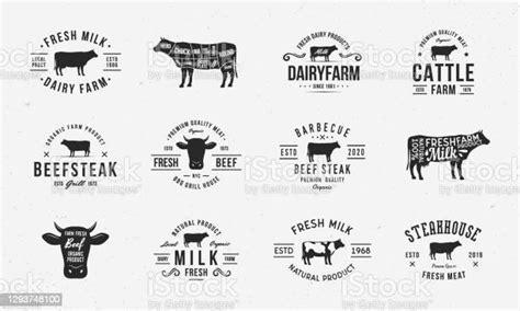 소 쇠고기 빈티지 로고 세트 12 가지 도살장 라벨 암소 실루엣의 엠블럼 로고 유제품 바베큐 스테이크 하우스 레스토랑 육류 가게 포스터 쇠고기 컷 다이어그램 벡터 엠블럼