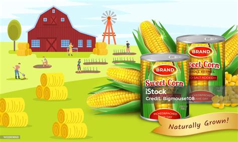현실적인 상세한 3d 유기농 통조림 옥수수 광고 배너 개념 포스터 카드 벡터 3차원 형태에 대한 스톡 벡터 아트 및 기타 이미지