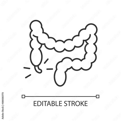 Appendicitis Linear Icon Appendix Inflammation Pain In Lower Right Abdomen Digestive Disorder