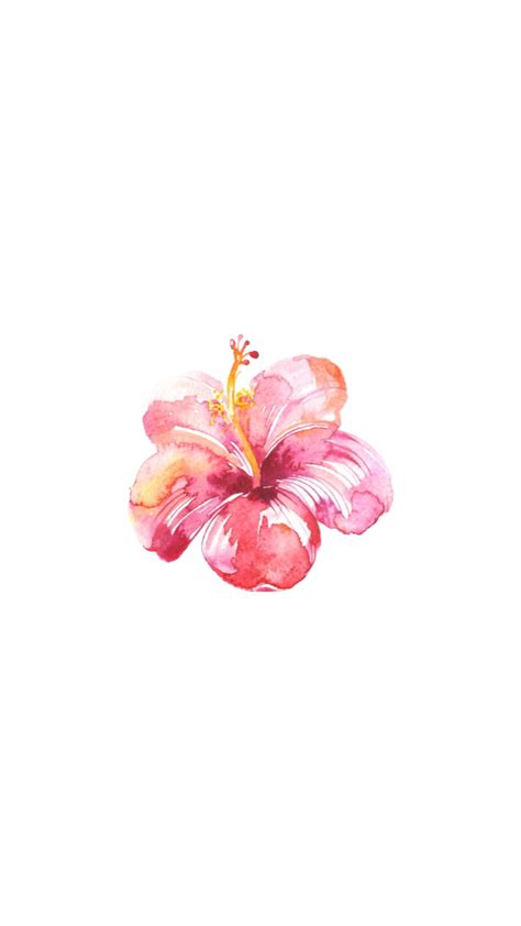 Fondos De Pantalla Pinterest Lindos Fondos De Pantalla Bonitos Para