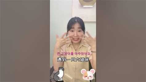 고양이와 생쥐 Learnchinese 중국어공부 중국어 어린이중국어 중국어회화 중국어노래 律动 Youtube