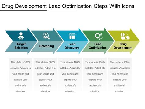 Drug Development Lead Optimization Steps With Icons Powerpoint Design