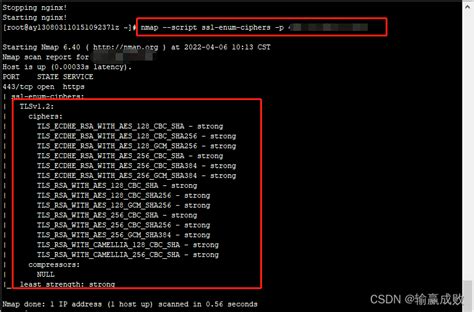 nginx 修复tls1 0漏洞并扫描tls协议 nginx 启用不安全的tls1 0协议 csdn博客