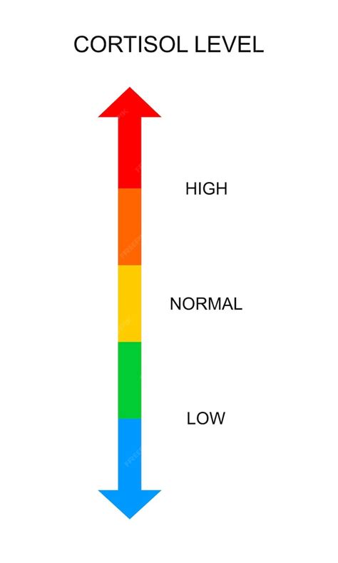 Cortisol Meter Vertical Scale Body Stress Response Levels Chart From