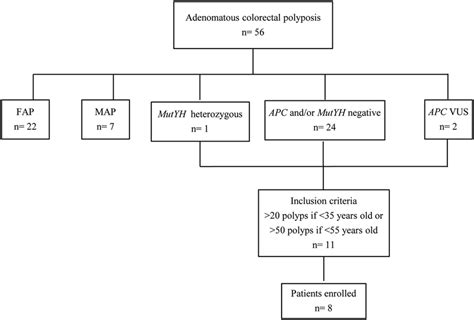 Flowchart Of The Patients Mutational Screening Selection And