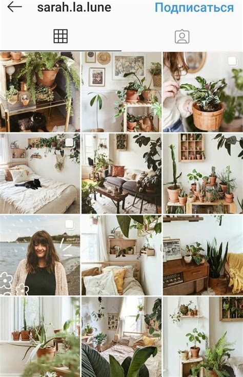 Пример оформления блога инстаграм Instagram Feed Aesthetic Shop Plants