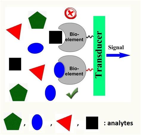 A Schematic Representation Of Biosensors Download Scientific Diagram