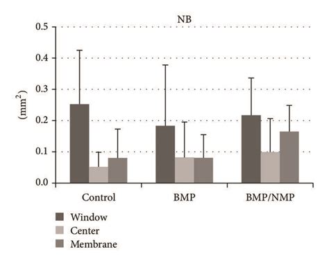 Findings Of Histomorphometric Analyses In The Regions Of Interest