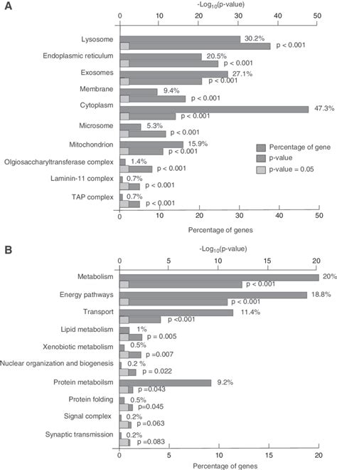 Gene Ontology Based Functional Annotation Of Proteins Identified In