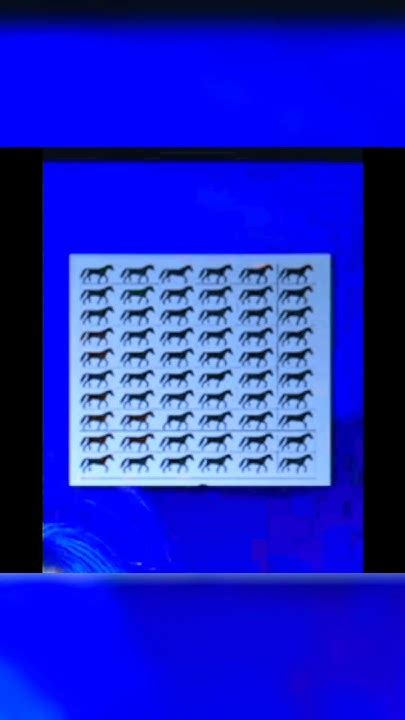 আচ্ছা বলো তো এখানে কয়টা গোড়ার তিনটা পা আছে Shortvideo Youtube