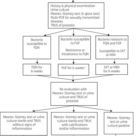 Suggested Diagnostic Algorithm Of Evaluation Of Patients With Cbp Download Scientific Diagram