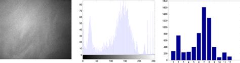 Boxplot Of Ri Dri And Quantized Histogram Matrixqhm Of 12 Bins