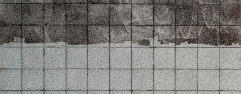 Appending And Prepending Items To An Array By John Kavanagh