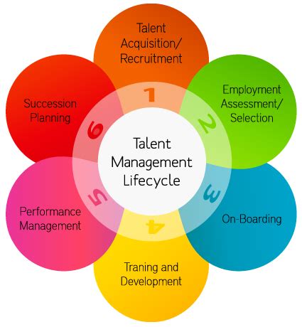 The Talent Management Life Cycle Explained