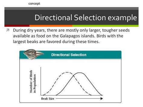 ap biology modes of selection lesson