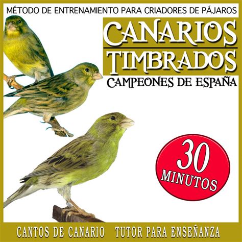Canto De Canarios Timbrados