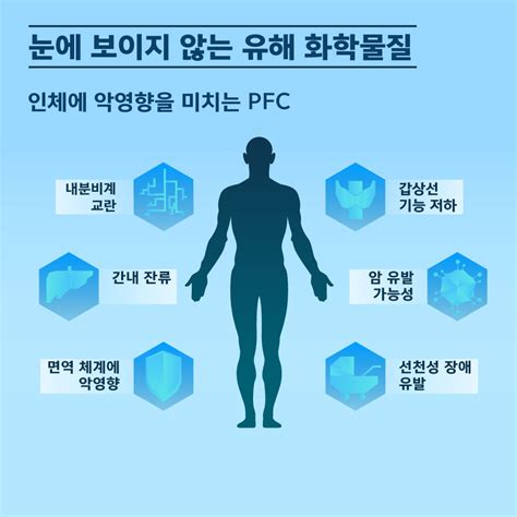 카드로 보는 인포그래픽 자연과 인체에 유해한 인공 화학물질 Greenpeace 그린피스 서울사무소