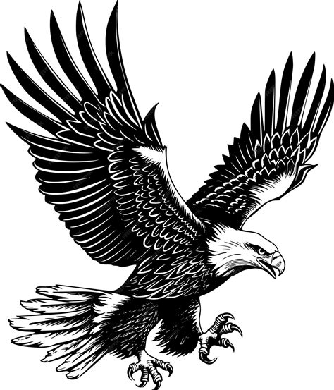 Premium Vector Eagle Vector Black And White