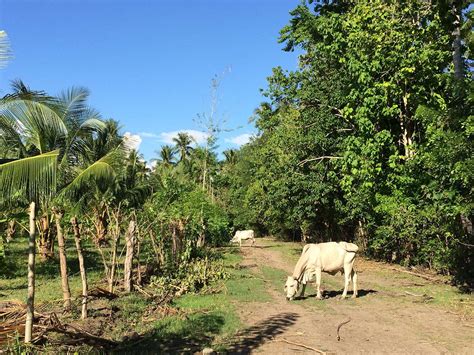 Surveycto Photos From The Field July 2016 Surveycto