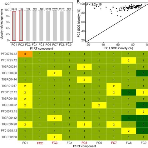 reconstruction validation based on taxonomic annotation and single copy