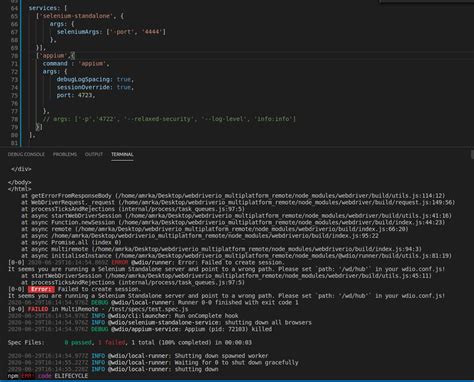 Standalone Server And Point To A Wrong Path Please Set `path Wdhub