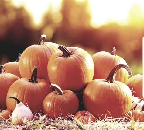 Adelinas Restaurant On Linkedin First Week Of Fall Friday Specials