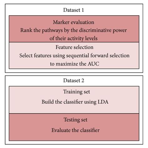 Experimental Setup For Evaluating The Classification Performance A Download Scientific